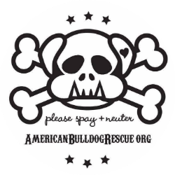 American Bulldog Rescue | New Hope, PA | Chewy