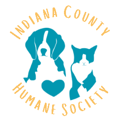 Indiana County Humane Society | Indiana, PA | Chewy