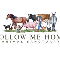 Follow Me Home Animal Sanctuary | Weatherford, TX | Chewy