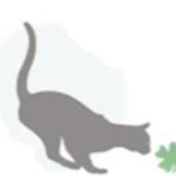 Clover Cat Rescue | Stuart, VA | Chewy