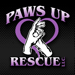 Paws Up Rescue LLC | Cullman, AL | Chewy