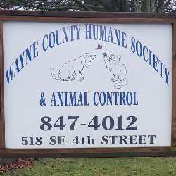 Wayne County Humane Society | Fairfield, IL | Chewy