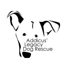 Addicus' Legacy Dog Rescue | Dripping Springs, TX | Chewy