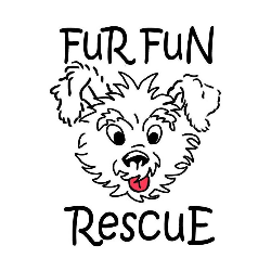 Fur Fun Rescue | Lisbon, IA | Chewy