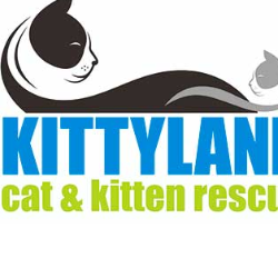 Kittyland Cat and Kitten Rescue | Desert Hot Springs, CA | Chewy