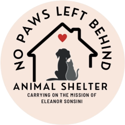 No Paws Left Behind Animal Shelter | North Adams, MA | Chewy