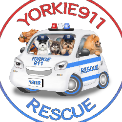 Yorkie911 Rescue, Inc. | Smithtown, NY | Chewy