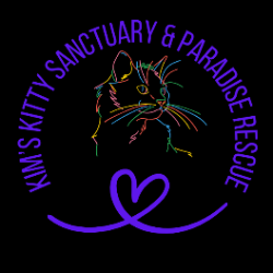 Kim's Kitty Sanctuary and Paradise Rescue | Glenwood, MN | Chewy