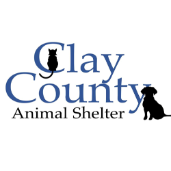 Clay County Animal Shelter, Inc | Ashland, AL | Chewy