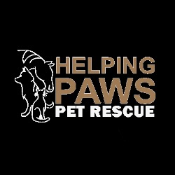 Helping PAWS Pet Rescue Inc | Washburn, WI | Chewy
