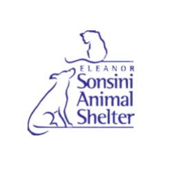 Eleanor Sonsini Animal Shelter | Pittsfield, MA | Chewy