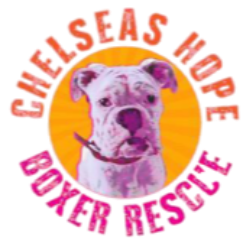 Chelsea’s Hope Boxer Rescue | Kings Park, NY | Chewy
