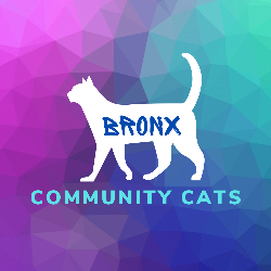 Bronx Community Cats | Bronx, NY | Chewy