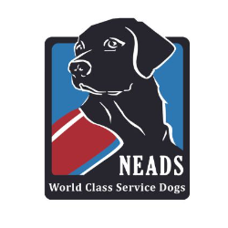 NEADS Service Dogs | Princeton, MA | Chewy