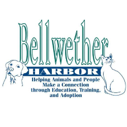 Bellwether Harbor Animal Shelter | Fremont, MI | Chewy