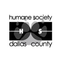 Dallas, TX Animal Shelters & Rescues | Chewy.com